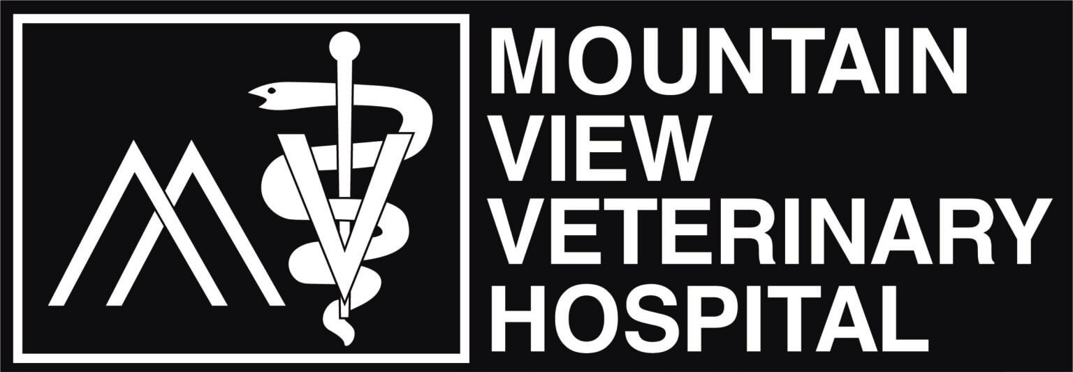 Veterinarian in Lacey, WA | Mountain View Veterinary Hospital