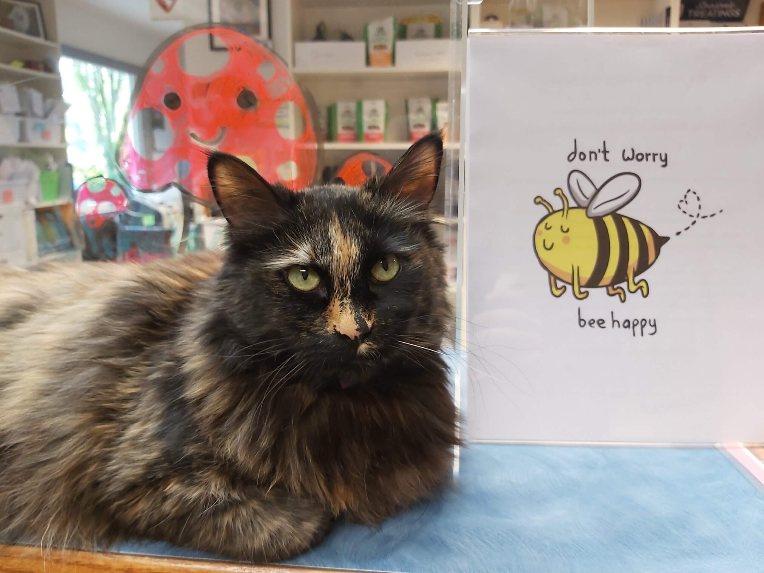 PetDesk App - Mountain View Animal Hospital