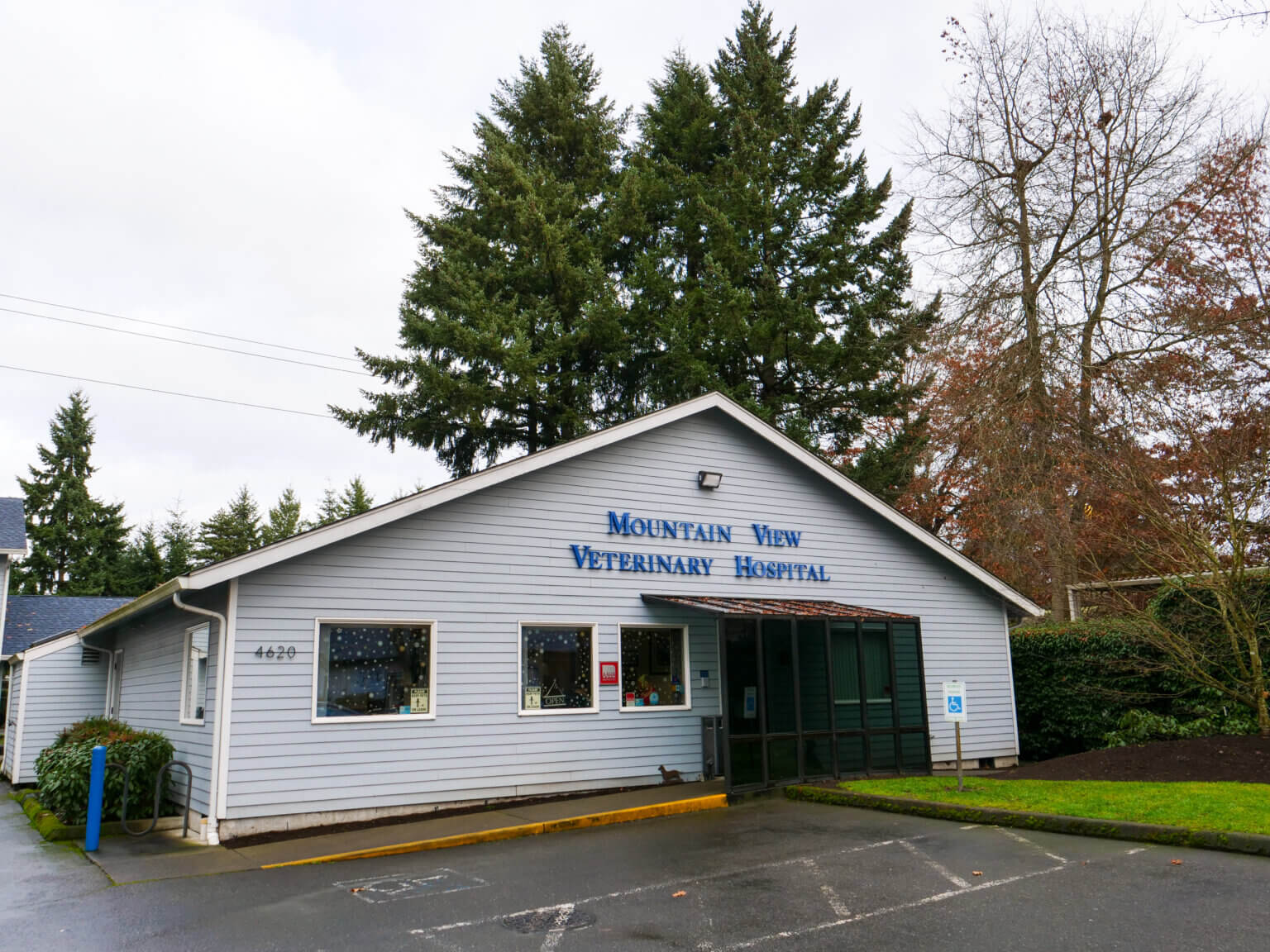 Lacey Veterinary | Mountain View Veterinary Hospital
